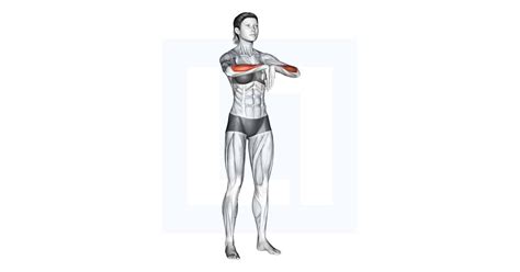 Wrist Roller Guide Benefits And Form