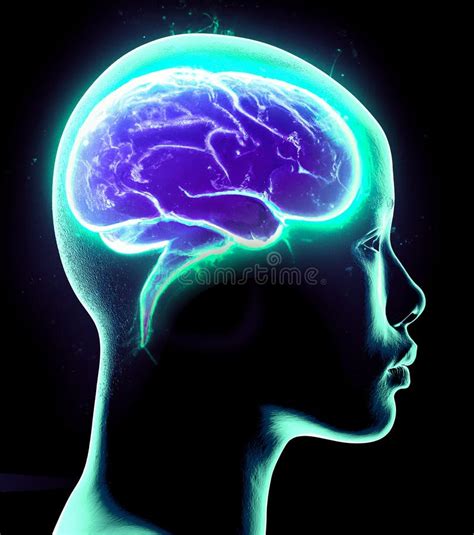 Neurology Philosophy Medicine Of The Future Neural Connections The