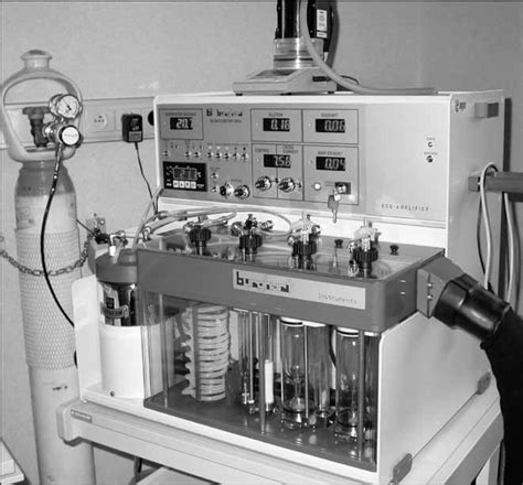 A Standardised Quantitative Olfactory Testing By Scratching Download Scientific Diagram
