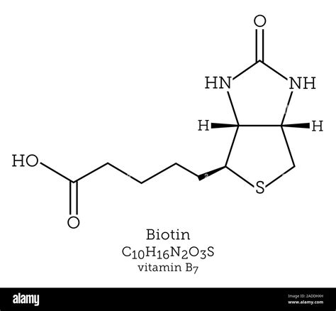 Biotin Vitamin B7 Is A Cofactor For Several Carboxylase Enzymes