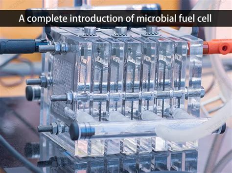 A Complete Introduction Of Microbial Fuel Cell