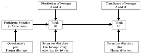 Pictorial Representation Of Randomised Double Blind Placebo Download Scientific Diagram