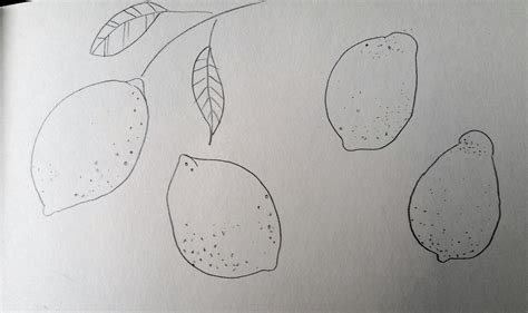 Lemon Doodles Rdoodles