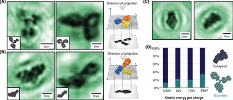 Imaging Conformational Variability And Gas Phase Related Conformations