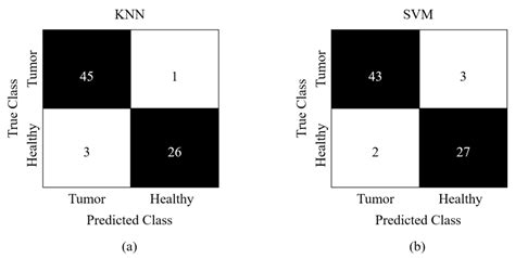 A Novel Approach For Brain Tumor Classification Using An Ensemble Of