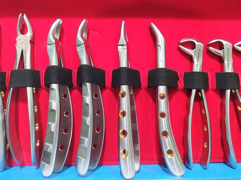 Extraction Forceps Kit Golden Holes Universal Dental Pvt Ltd