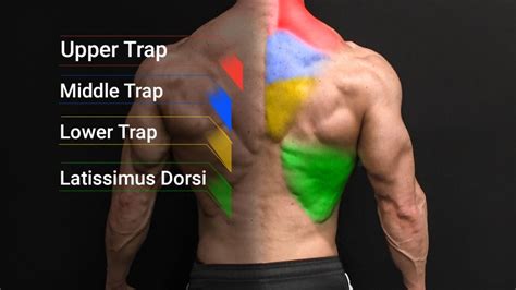 Mid Back Stretch And Rhomboid Release Athlean X