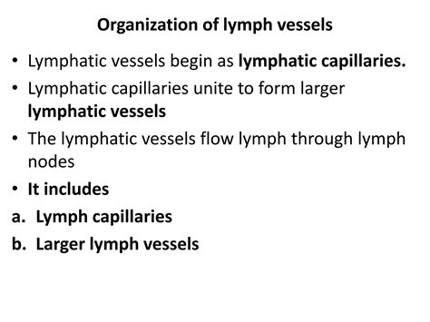 Lymphatic System Pptx