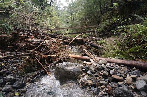 Flood Damage At Glentui Loop Track Nz Raw