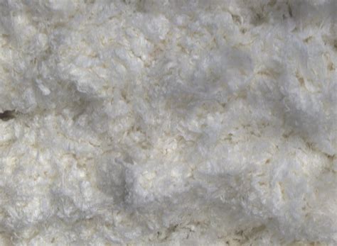 Contamination Object Detection Model By Pavan