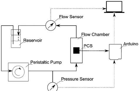 Schematic Of The Experiment Setup Download Scientific Diagram