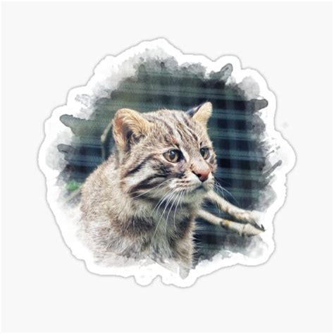 Siberian Leopard Cat Sticker By Pearcatprod Redbubble