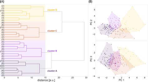 Cluster Partition Obtained From Hierarchical And K‐means Clustering Of