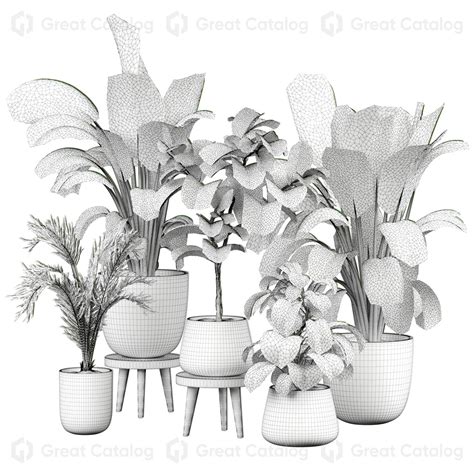 Растения в горшках 502 для помещений 3d модель Greatcatalog 49383