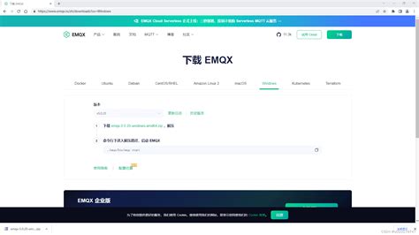 emqx使用教程 emqx启动 csdn博客