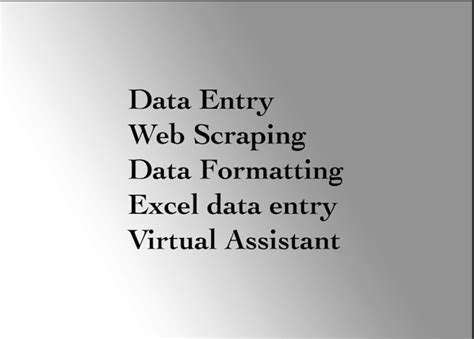 do data entry web scraping copy paste excel data entry and