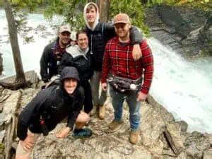 The Tree Of Life Washington Olympic National Park
