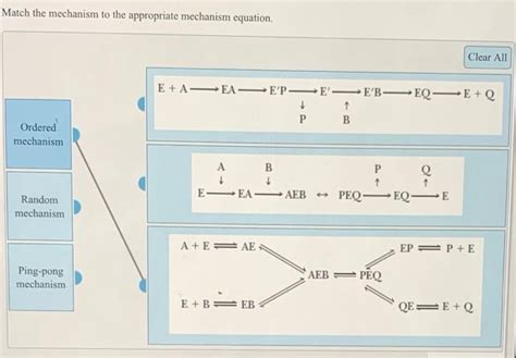 Solved Match The Mechanism To The Appropriate Mechanism Chegg Com