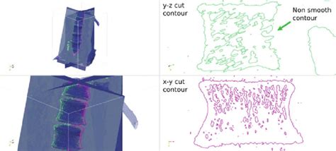 14 Y Z Cut Contour Line And X Y Cut Contour Line X Y Reconstructed