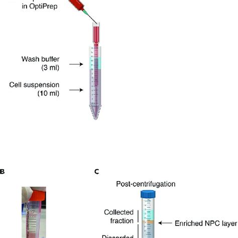 Setup Of The Optiprep Density Gradient A Depiction Of How To Set Up
