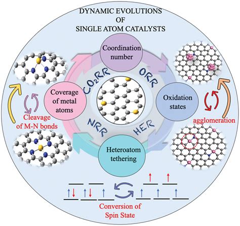 Dynamic Coordination Structure Evolutions Of Atomically Dispersed Metal Catalysts For