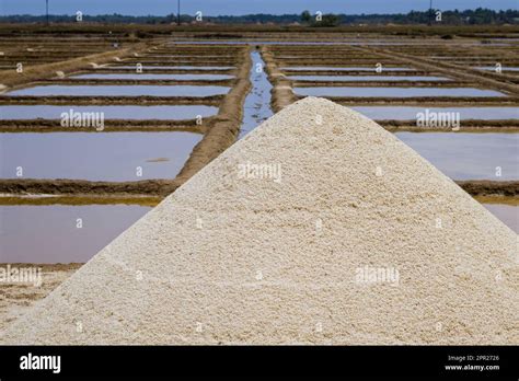 Harvesting Salt From Drying Sea Water Brine In Pits Using Sunlight