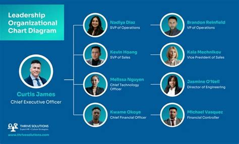 8 个最佳组织结构图示例及创建方法 [2025]