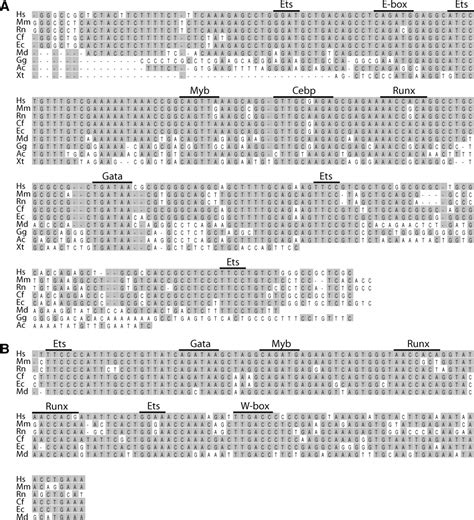 A Runx1 Intronic Enhancer Marks Hemogenic Endothelial Cells And Hematopoietic Stem Cells Ng