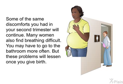 Pregnancy Third Trimester What To Expect