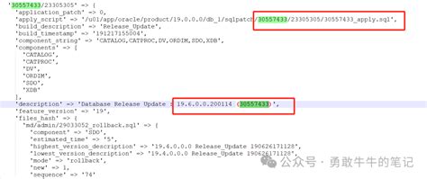 oracle 补丁数据字典更新失败案例 datapatch csdn博客