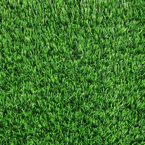 Grass Top View Png