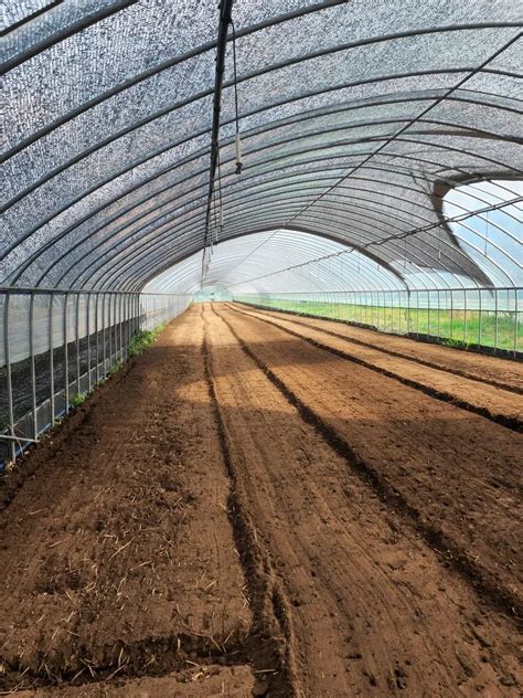 실험재배농장 들깨 하우스 윤승현 숨고 숨은고수