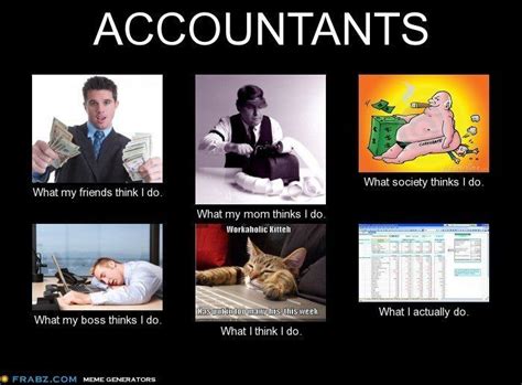 Accounting Meme Venn Diagram Accounting Meme