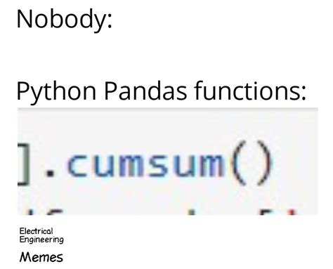 Cumsum Rprogrammerhumor