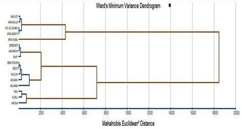 Clustering Pattern Of Different Genotypes By Tochers Method