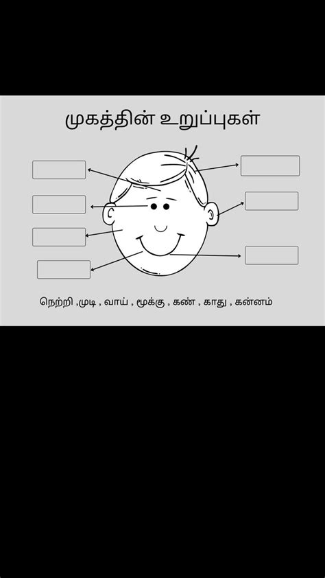 tamil exercises parts of face match the right word words play