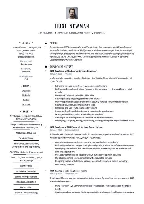Net Developer Resume Example Resume Examples Guided Writing Resume