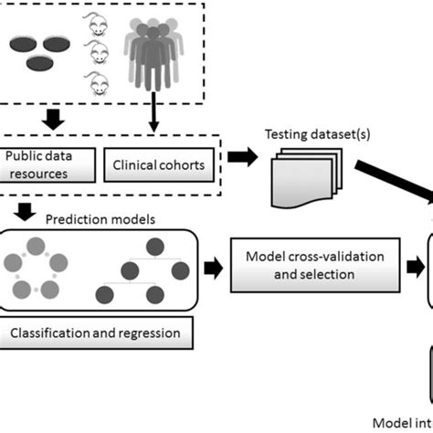 Key Steps In The Development Of Computational Models For Predicting