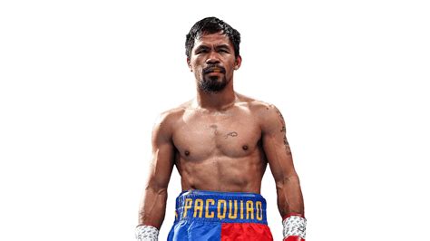 Knockout Complete