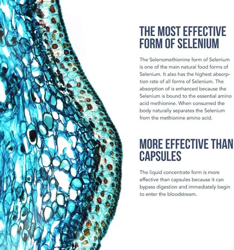 Selenium 200 Mcg Selenomethionine Liquid 300 Servings Vegan Glass Bottle Antioxidant Immune