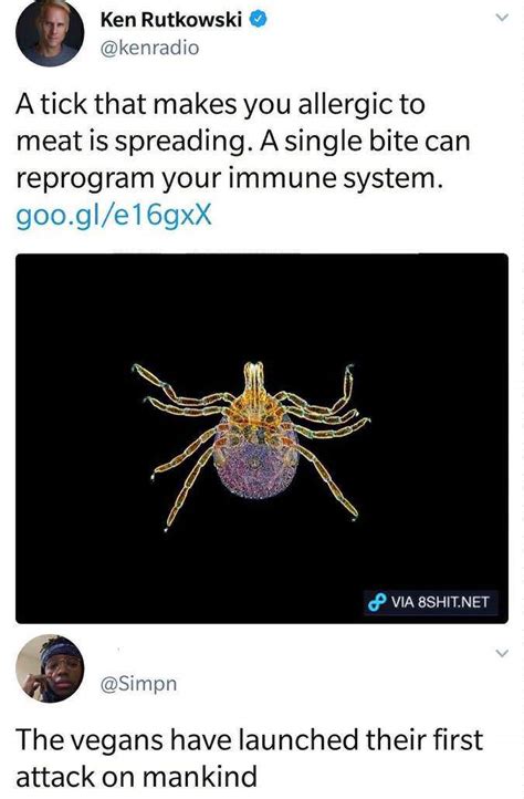 Wowee Meme By Isadacookie Memedroid