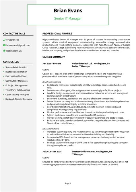 Senior IT Manager CV Example Guide Stand Out