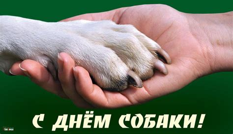 Необычайные картинки от дизайнера и поздравления на Всемирный день собак 2 июля 2021 года для