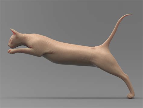 Sphinx Jump 3d Turbosquid 1264592