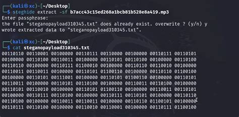 Ctf Audio Steganography Hands On Strategies For Decoding Hidden Messages