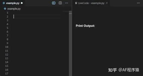 装上这 10个vscode插件，python才真的是无敌的存在！ 知乎
