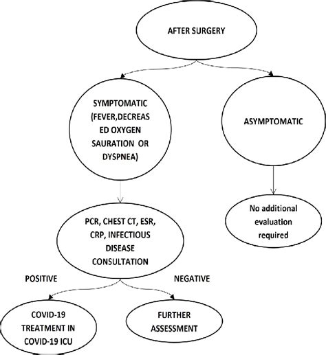 Postoperative Evaluation Pcr Polymerase Chain Reaction Ct Computed Download Scientific