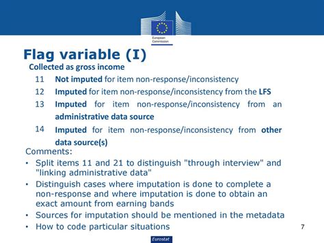 What Is A Flag Variable At George Havens Blog