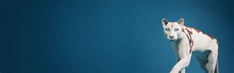 Assessment Of Artificial Intelligence Ai Based Methods For Image Reconstruction And