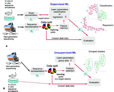 Typical Flow Of Protein Sequence Ml Approaches Dashed Lines For